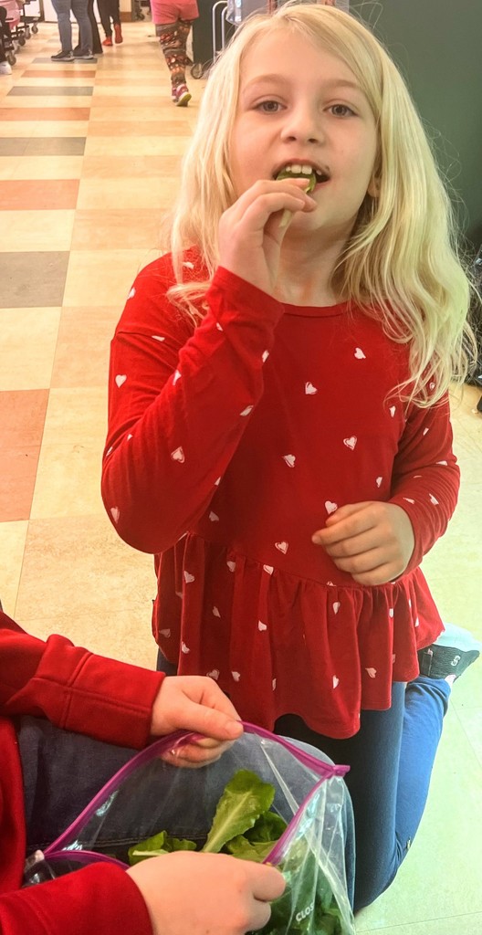 Live Feed | Northern Adirondack CSD